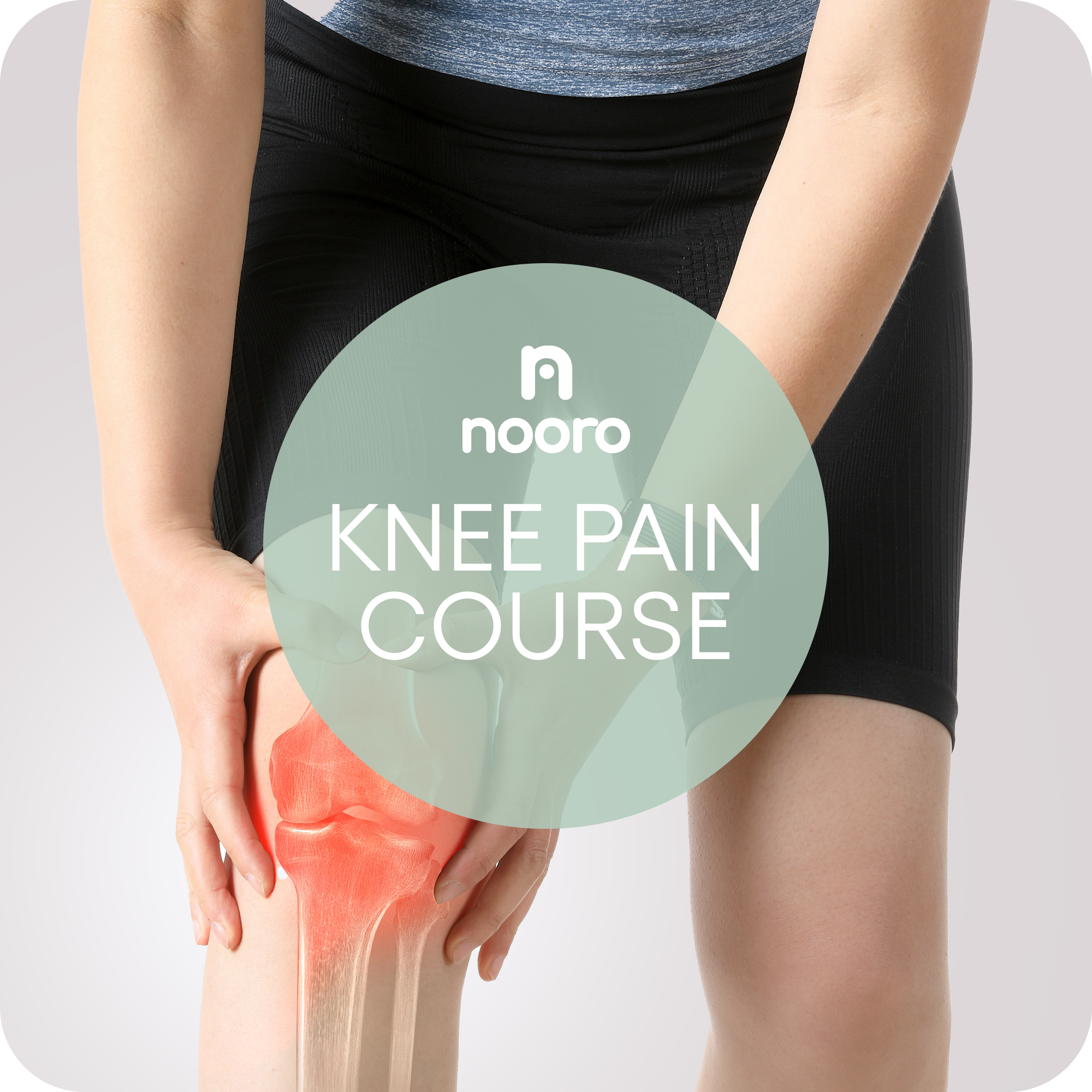 Knee Pain – nooro US